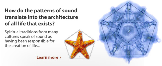 Cymatics Center | Token Rock