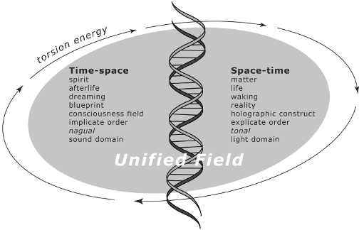 Healing & Transformation through Consciousness