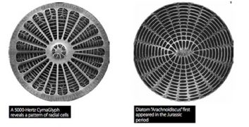 Cymatics - A Bridge to the Unseen World - Token Rock