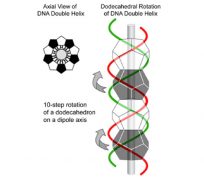 Harmonic Evolution Part 1 - Token Rock
