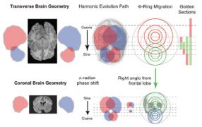 Harmonic Evolution Part 2 - Token Rock