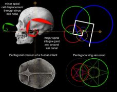 Harmonic Evolution Part 2 - Token Rock