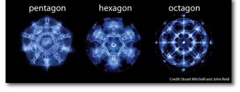 Harmonic Patterns in Nature - Token Rock